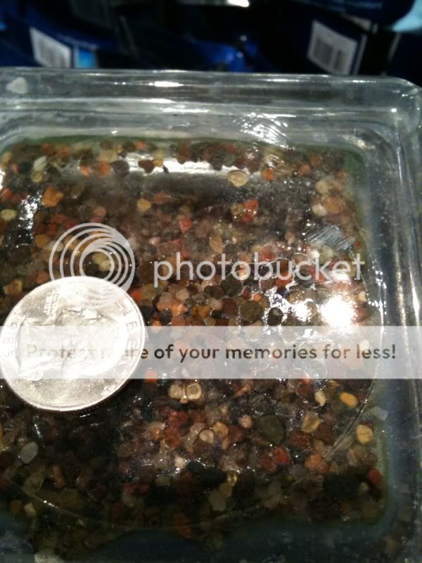 Where to Get Red Flint? | The Planted Tank Forum