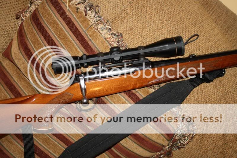 My BSA Monarch bolt gun > General Firearm Discussion > AR15.COM