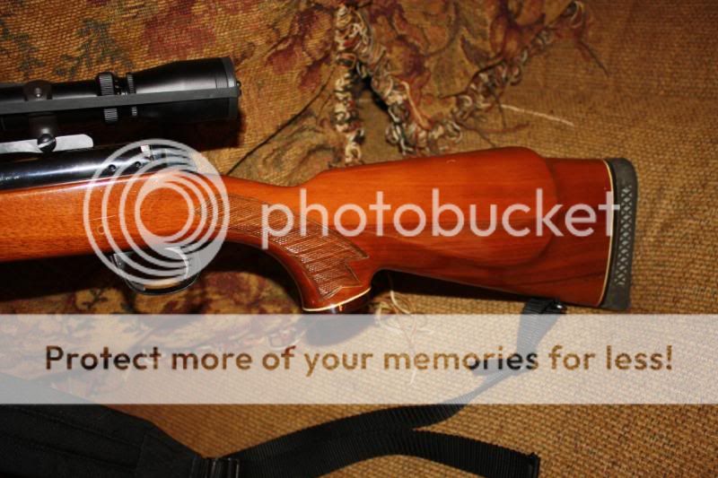 My BSA Monarch bolt gun > General Firearm Discussion > AR15.COM