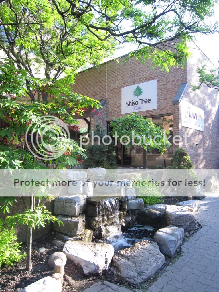 Shiso Tree Cafe – KSDN's Adventures