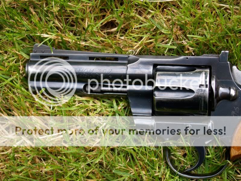 $500 Python Before & After Pictures | Colt Forum