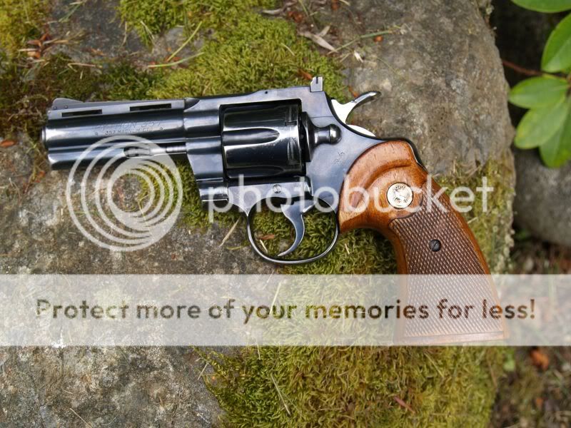 $500 Python Before & After Pictures | Colt Forum