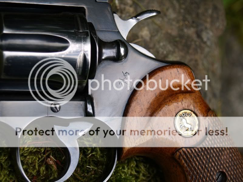 $500 Python Before & After Pictures | Colt Forum