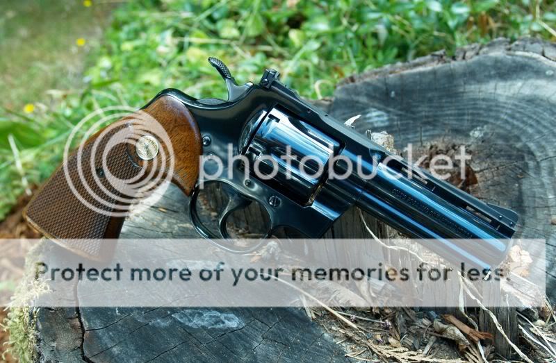 $500 Python Before & After Pictures | Colt Forum