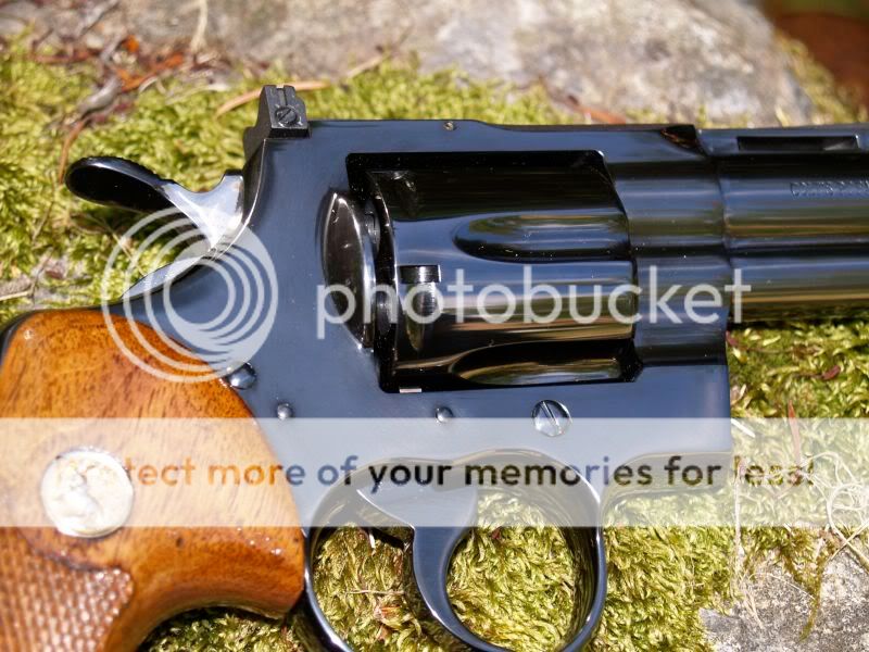 $500 Python Before & After Pictures | Colt Forum