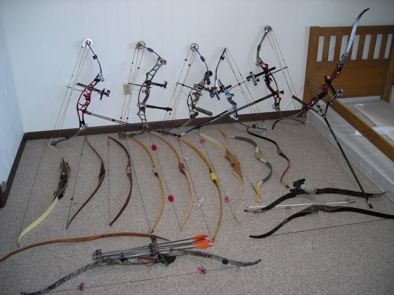 How many bows do you folks own? | Archery Talk Forum