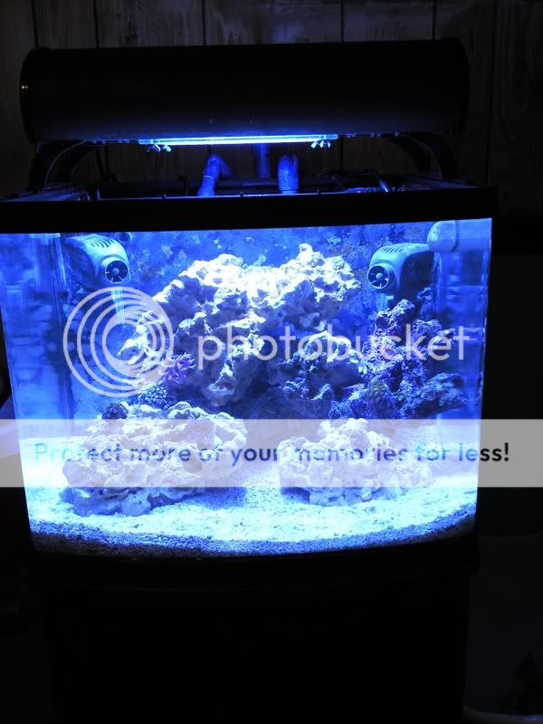 Oceanic Biocube 29 Gallon
