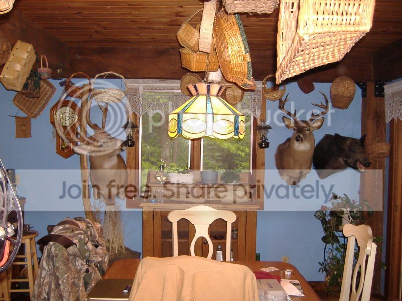 What's Your Deer Room Look Like? - Hunting Beast™ / The Hunting Beast™