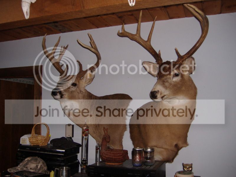 What's Your Deer Room Look Like? - The Hunting Beast