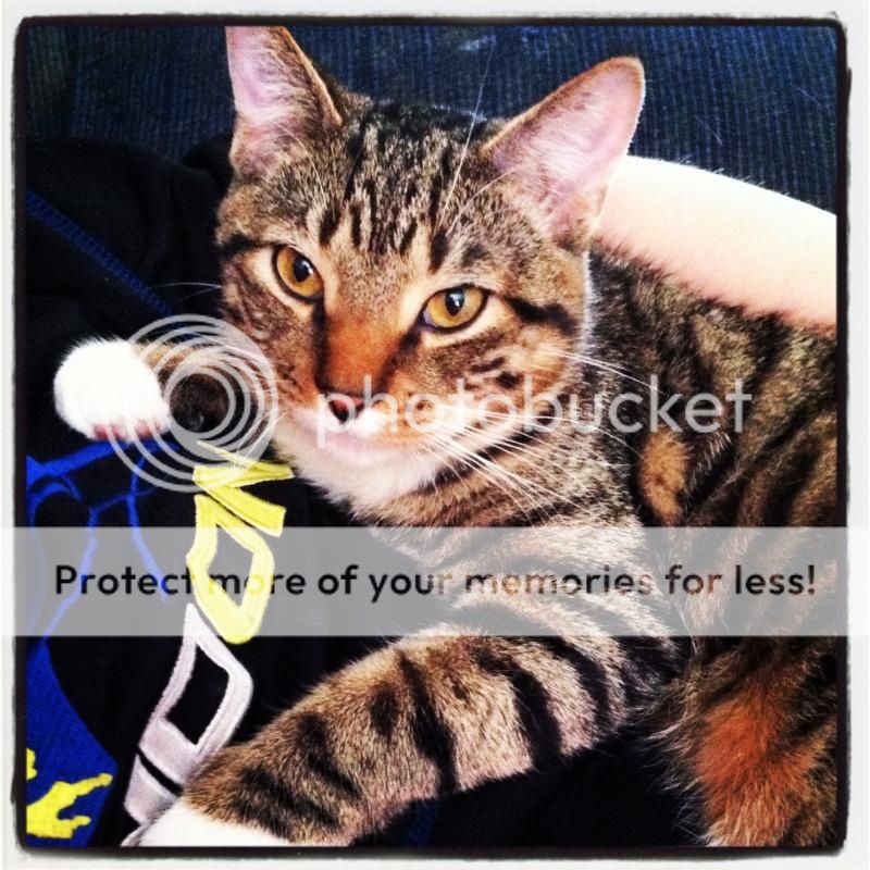 i16.photobucket.com on reddit.com